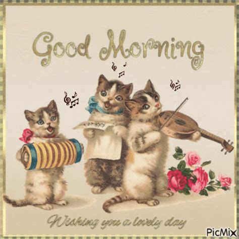 Good Morning Cat  Good Morning Cat Kitten Discover And Share S