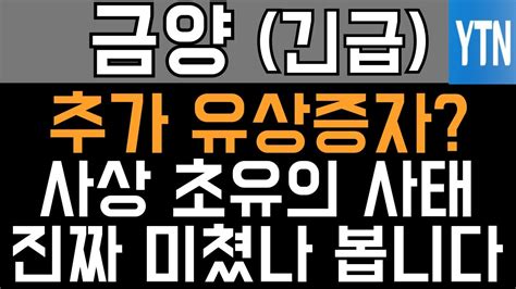 금양 주가전망 긴급 추가 유상증자 사상 초유의 사태 진짜 미쳤나 봅니다 Youtube