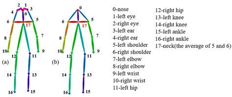 Sensors Free Full Text Fall Detection Method For Infrared Videos Based On Spatial Temporal