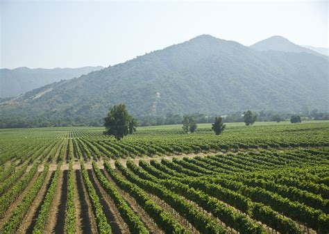 Best Cities In The Central Valley At Tyson Bathurst Blog