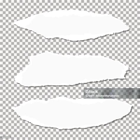 찢어진 종이와 현실적인 벡터의 세트 당신의 텍스트에 대 한 공간을 가진 가장자리를 찢 어 0명에 대한 스톡 벡터 아트 및 기타 이미지 0명 가장자리 개념 Istock
