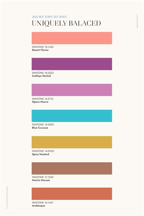 2025 팬톤 올해의 컬러 모카 무스 Simple P