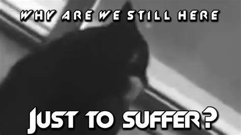 Why Are We Still Here Just To Suffer Mini Compilation Youtube