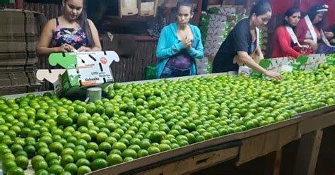 Échale Salsita Pero Sin Limón Que Está Muy Caro