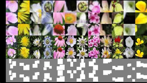 Examples Of Generated Masks And Images On Six Datasets The Generated Download Scientific