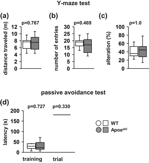 Performance Of Apoeshl Mice In The Y Maze Test And Passive Avoidance Download Scientific