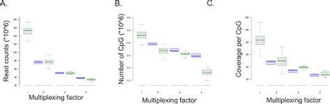 Enhanced Reduced Representation Bisulfite Sequencing For Assessment Of Dna Methylation At Base