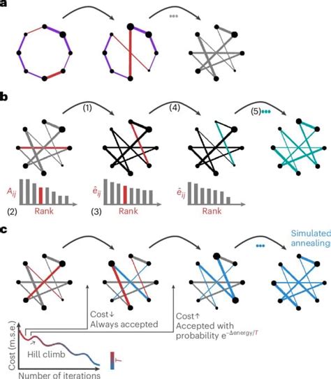 A Simulated Annealing Algorithm For Randomizing Weighted Networks Lifeboat News The Blog