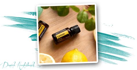 Doterra Lemon Natürlich Hudribusch