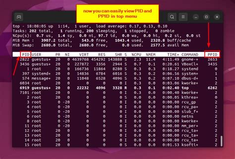 How To Find The Pid And Ppid Linux 7 Easy Methods