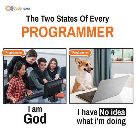 Codenexus On Linkedin Codingmemes Programmingmemes Memes Coding Computerscience Computer