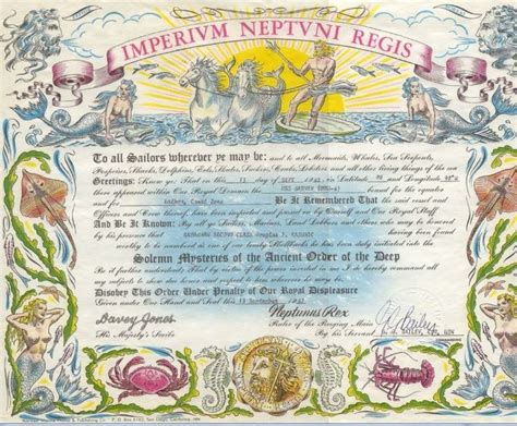 Shellback Certificate Shellback Certificate United States Navy