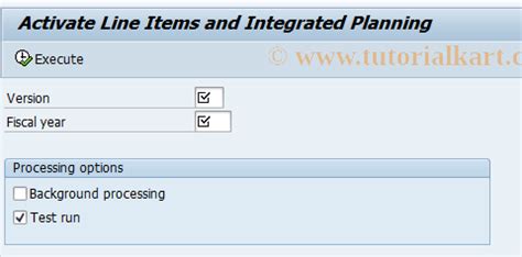 KP96 SAP Tcode Activate L Items And Int Planning