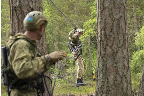 10 Must Know Tree Stand Placement Tactics Socialite Spaces