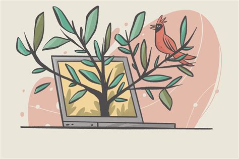 The Environmental Impact Of Digital Technology And How Software Eco