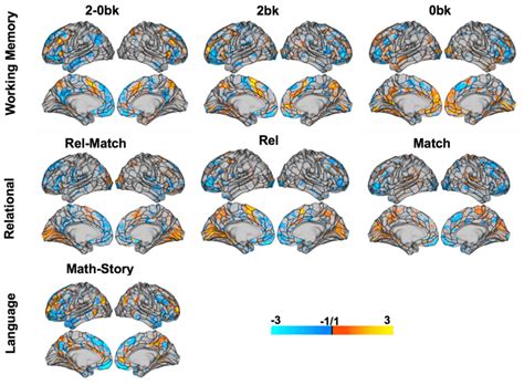 Consensus Component Maps For Seven Task Contrasts Highly Predictive Of