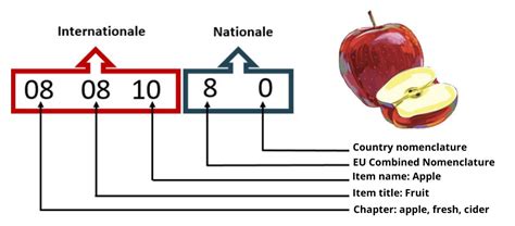 Fret Entre La France Et Lalgérie Tarifs And Droits