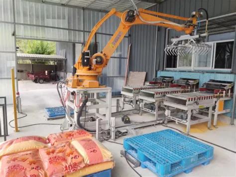 industrial robot palletizing for handling palletizing stacking packing packaging robot and
