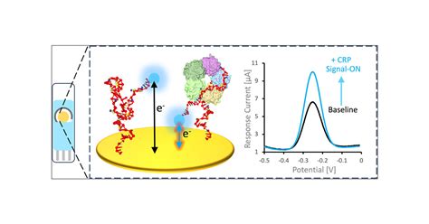 Structure Switching Electrochemical Aptasensor For Rapid Reagentless And Single Step Nanomolar