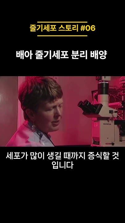 배아 줄기세포 분리 06 줄기세포란 무엇이고 어디에서 왔으며 우리는 줄기세포에 대해 실제로 무엇을 알고 있습니까 줄기세포 연구의 세계에 대한 소개입니다