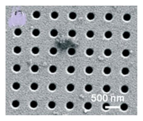 A Schematic Showing Nanohole Plasmonic Sensor Functionalized