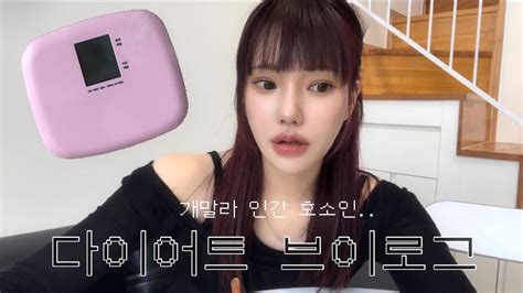 [vlog] 47kg 만들기 도전 브이로그 제 1탄 ͟͟͞͞ Youtube