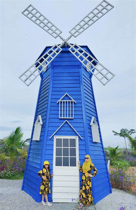 Sunflower Garden Di Bagan Datuk Jadi Syurga Peminat Bunga Matahari