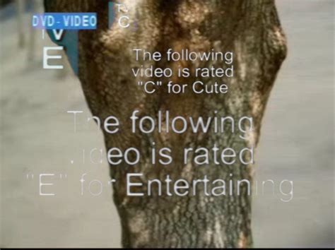 Bethanys Brooks Cute 2022 File Discogs