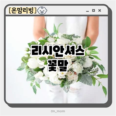 흰색 부케 리시안셔스 꽃말 모종 여름꽃 키우기 네이버 블로그