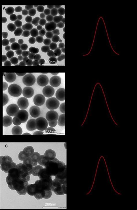 TEM Images And Size Distributions From TEM Of SiO 2 SiO 2 L Download Scientific