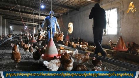 ក្រសួងសុខាភិបាលច្រានចោលព័ត៌មានដែលថាករណីឆ្លងវីរុសផ្តាសាយបក្សីនៅខេត្តព្រៃវែងជាការឆ្លងពីមនុស្សទៅមនុស្ស