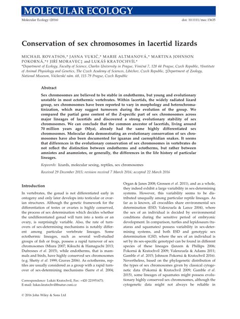 PDF Conservation Of Sex Chromosomes In Lacertid Lizards