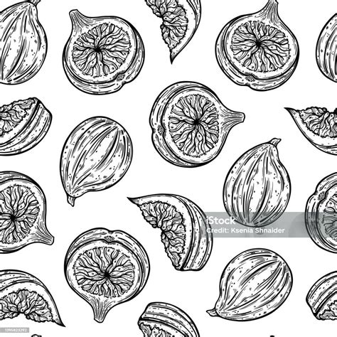 무화과 원활한 벡터 패턴 익은 정원 과일 전체 절반 조각 육즙이 많은 펄프 씨앗을 곁들인 여름 디저트의 스케치 채식 식물의 흑백