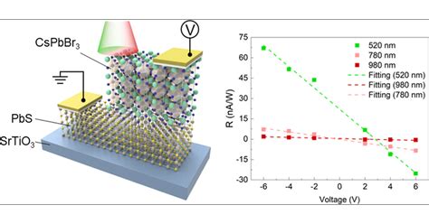 Pbscspbbr3 Heterojunction For Broadband Neuromorphic Vision Sensing Acs Applied Materials