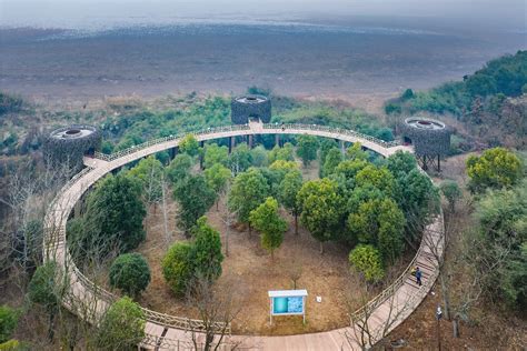 美丽中国研究院 文献库 永修吴城候鸟小镇