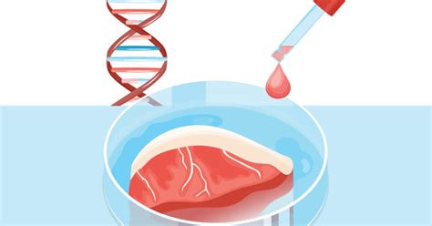 What They Dont Want You To Know About Lab Grown Meat Organic Consumers