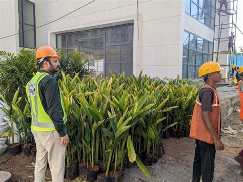 Mayur Salunkhe On Linkedin Gardening Landscaping Plants Greenkam