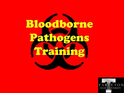Bloodborne Pathogens Training Tarleton State University