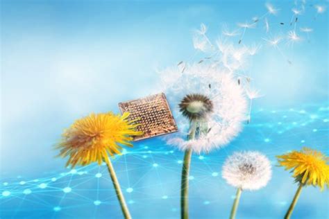 Ultra Low Power Microcontrollers Enabling Energy Harvesting App