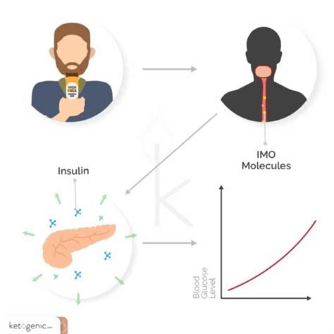 How To Calculate Net Carbs Fibers Sweeteners Keto Science