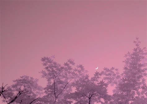 적외선 초승달이 있는 풍경 B급찍사