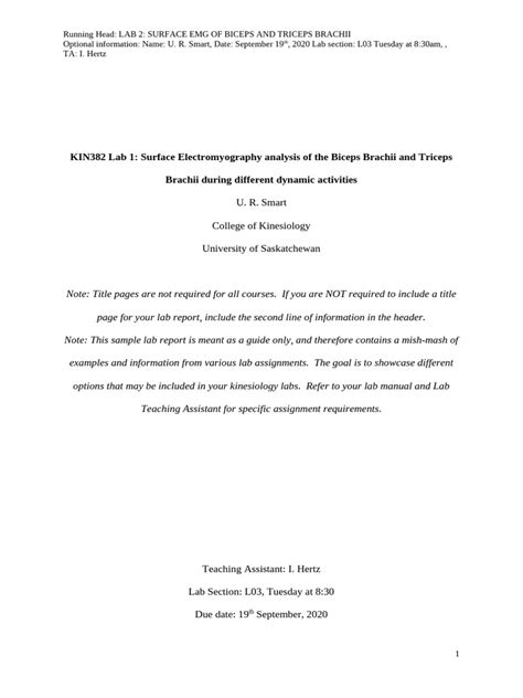 Lab Report Example Docx Pdf Electromyography