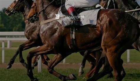 The Noah Brash Case Ends With A 10 Year Warning Off Order