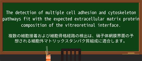 【英単語】matrix Proteinを徹底解説！意味、使い方、例文、読み方