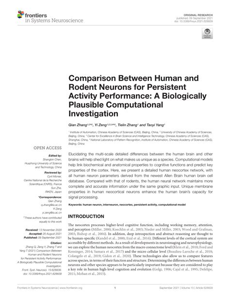 Pdf Comparison Between Human And Rodent Neurons For Persistent