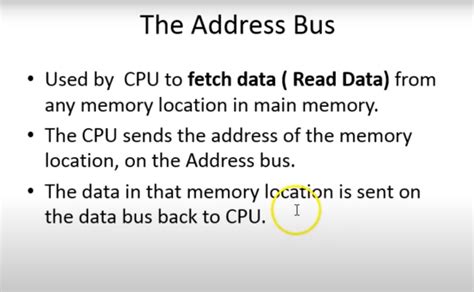 What Does The Address Bus Do Grade A Computer Science