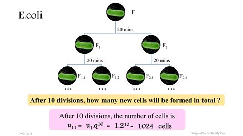 Geometric Sequence 19012018 Myduc Tranphu Ppt