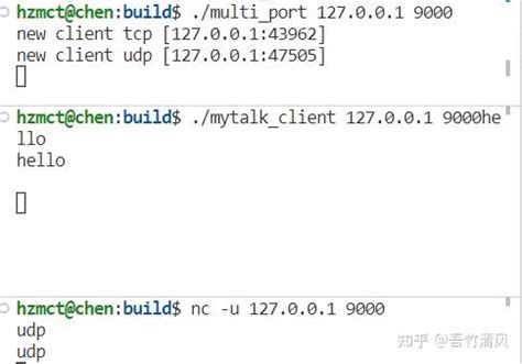 基于epoll处理同一端口的tcp和udp数据 知乎