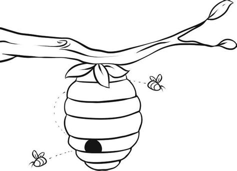Dibujos De Panales Abejas Para Colorear Vsun