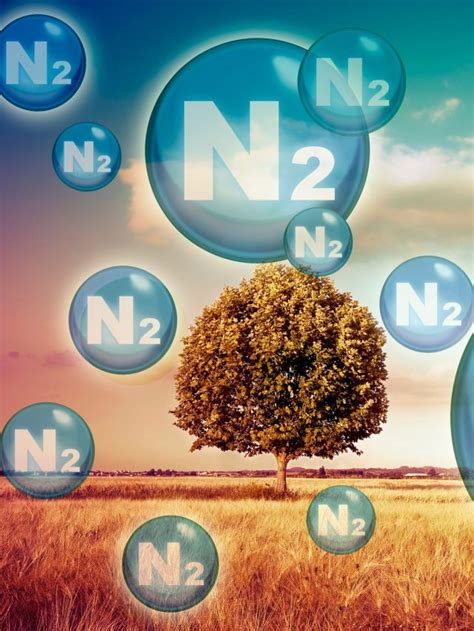 Role Of Nitrogenase In Root Nodules Aakash Byjus Blog